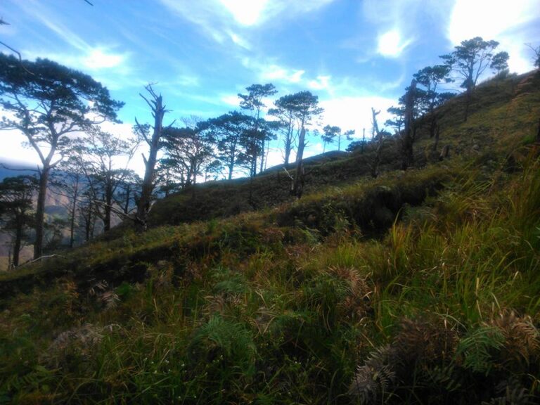 Mt. Pigingan Dayhike Guide
