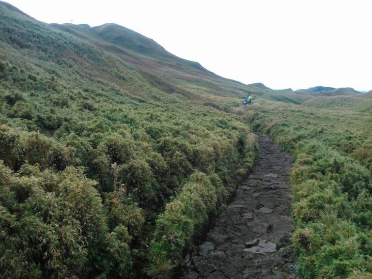 Mt. Pulag Climb Guide (Itinerary + Tips)