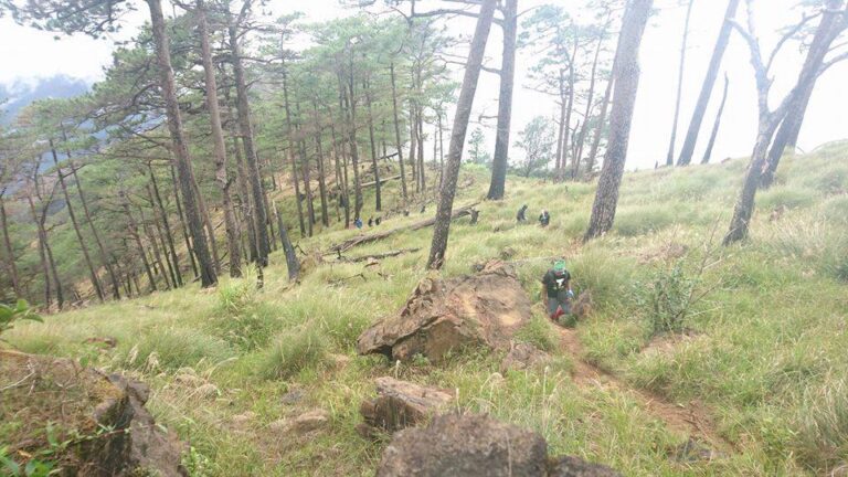 Mt. Tapulao Dayhike Guide