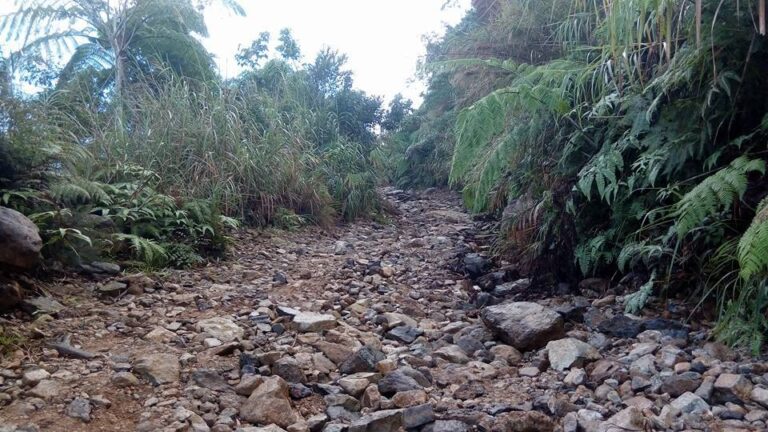 Mt. Tapulao Dayhike Guide