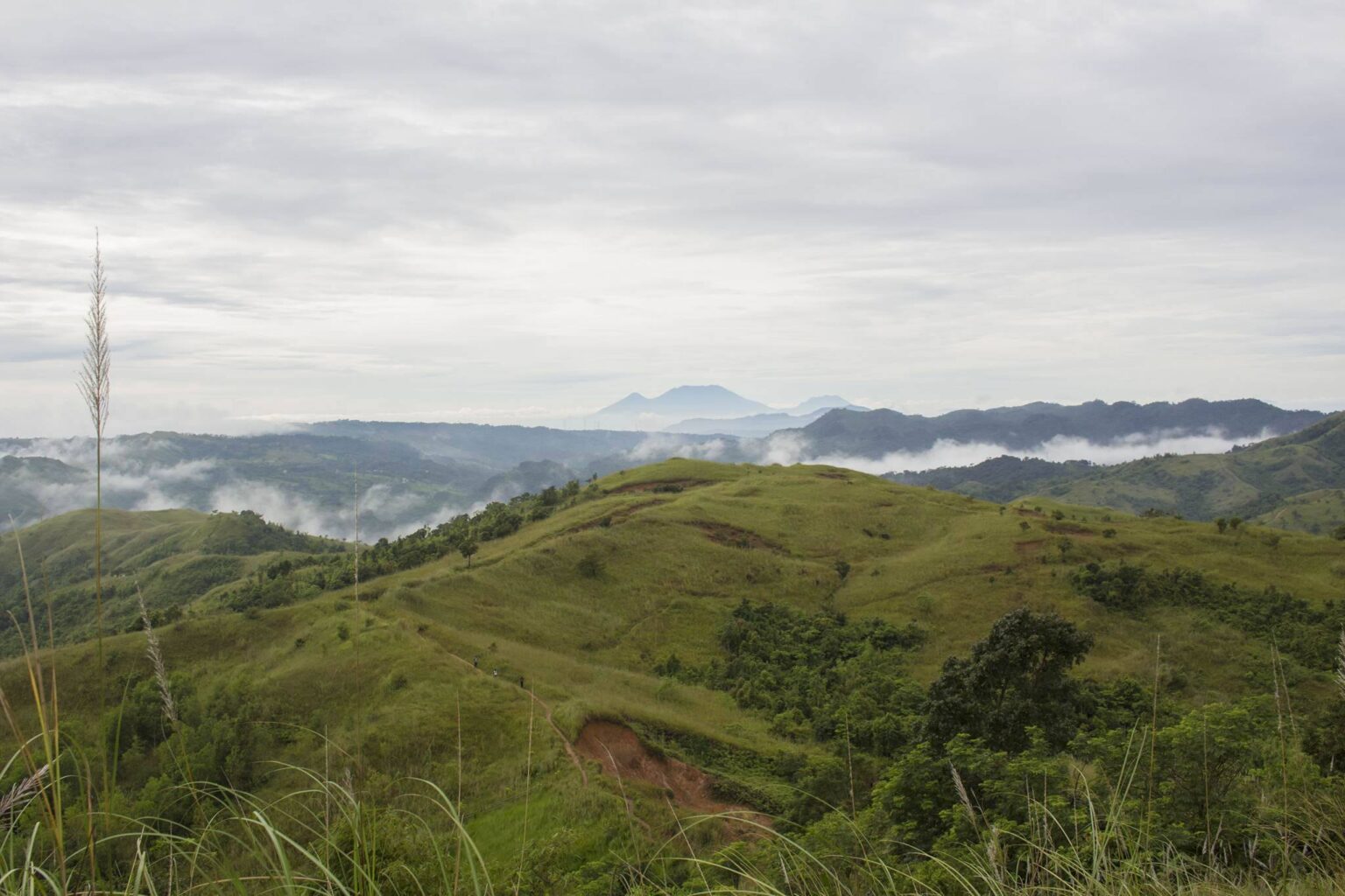 Mt. Batolusong Dayhike Guide (Itinerary + Tips)