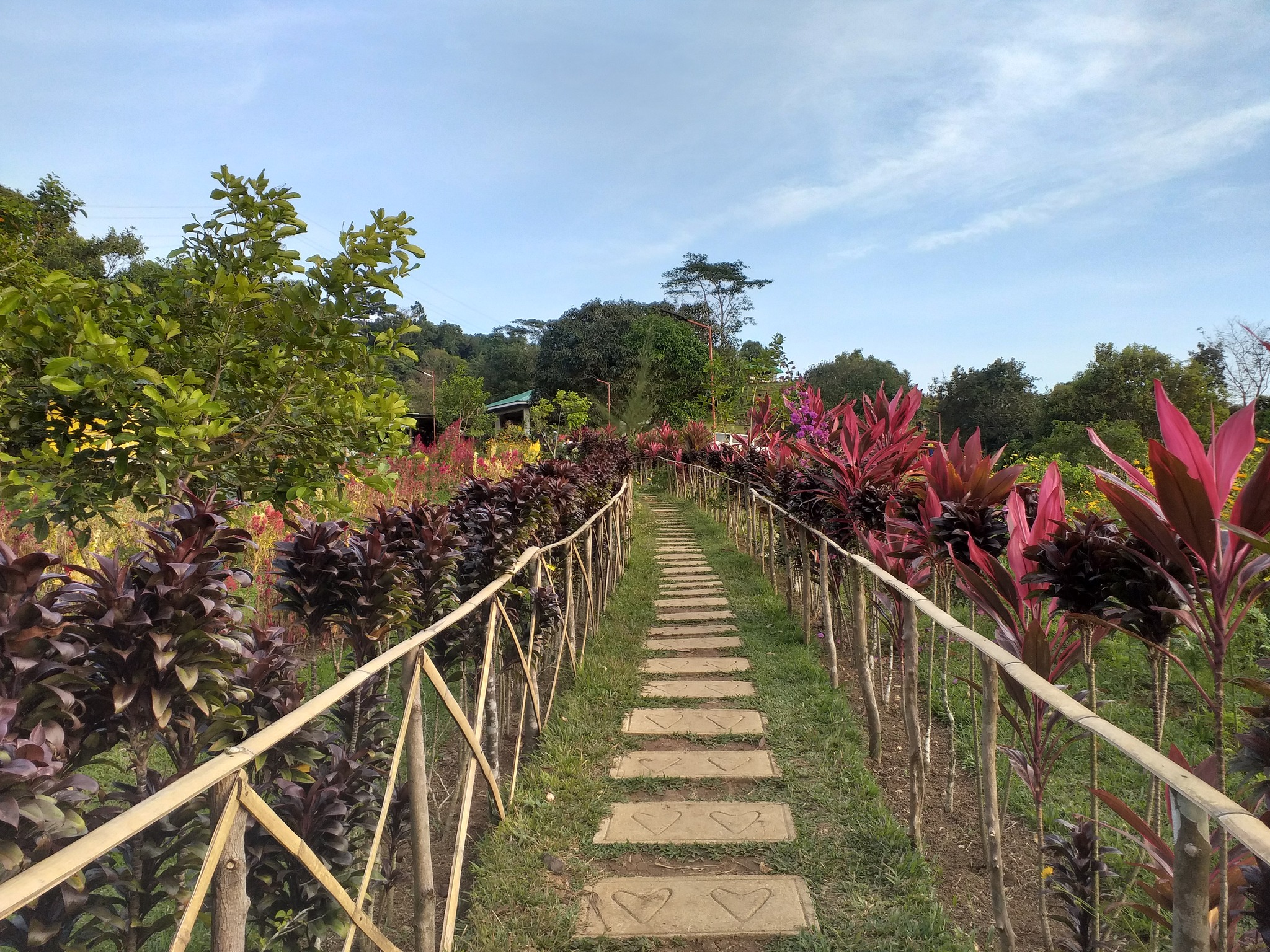 Lambingan Hills Travel Guide