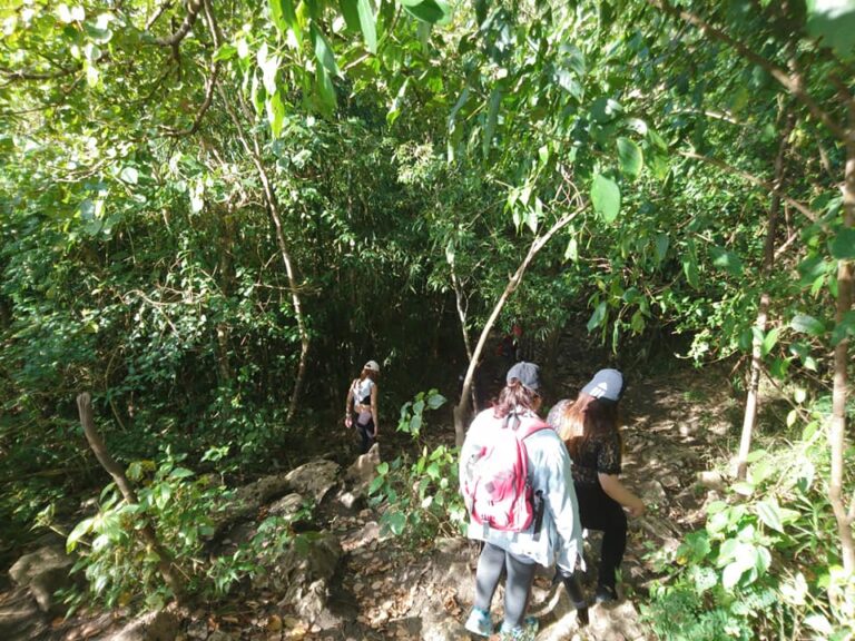 Mt. Kulis Hiking Guide (Itinerary + Tips)