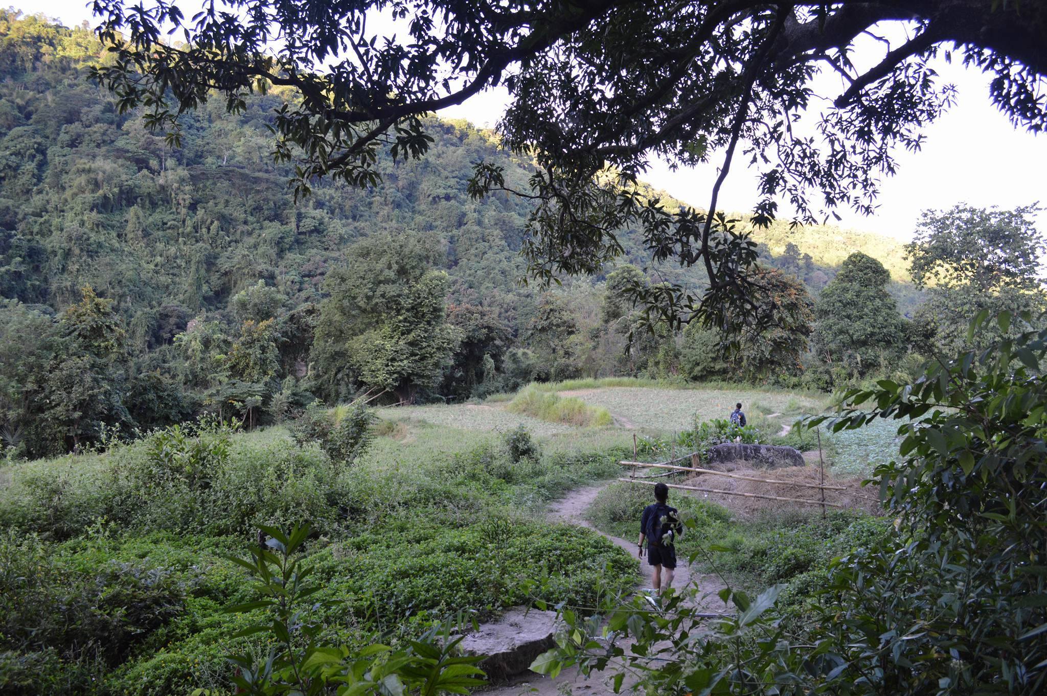 Tangadan Falls Travel Guide