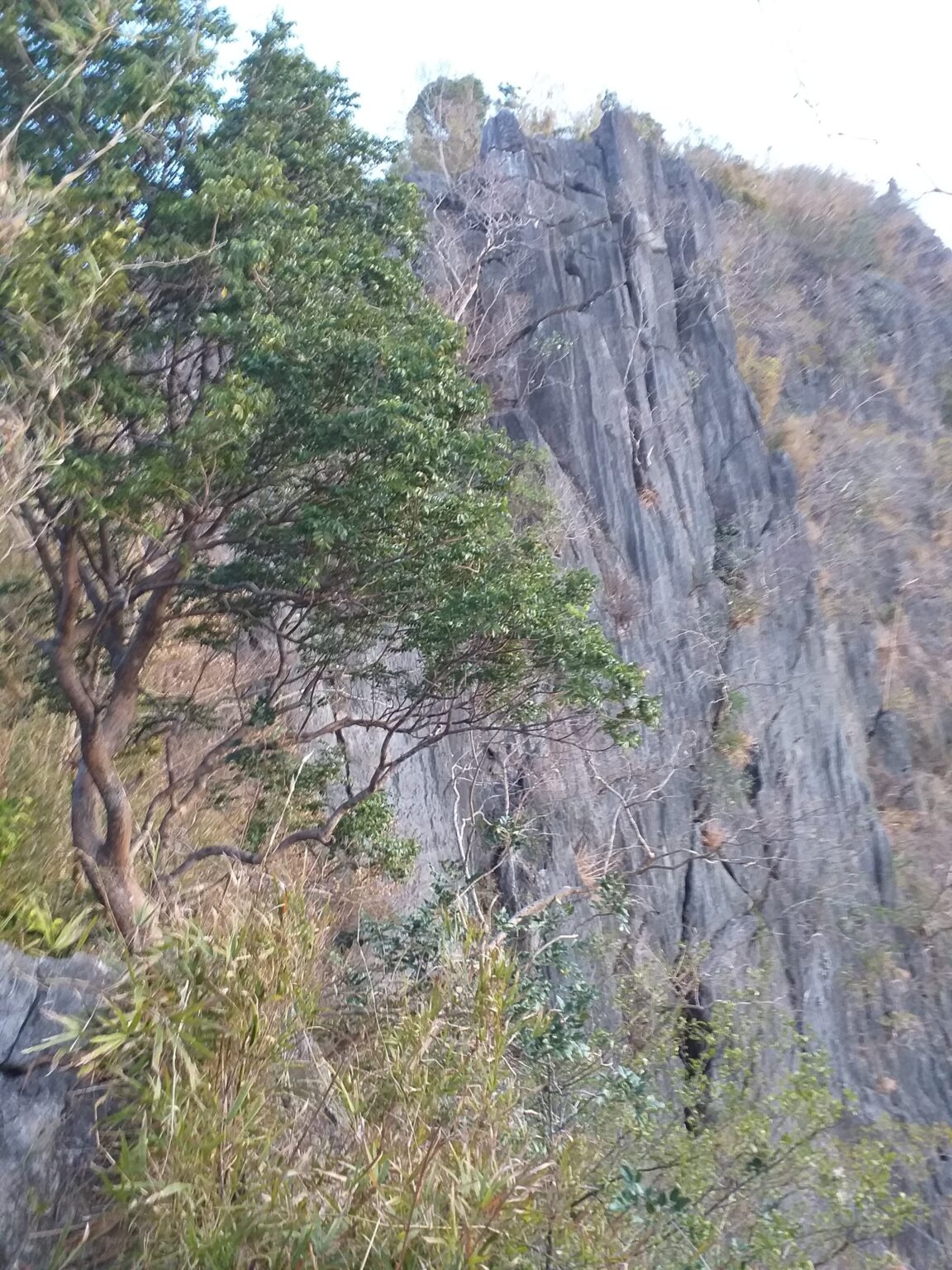 Mt. Hapunang Banoi Dayhike Guide (Itinerary + Tips)