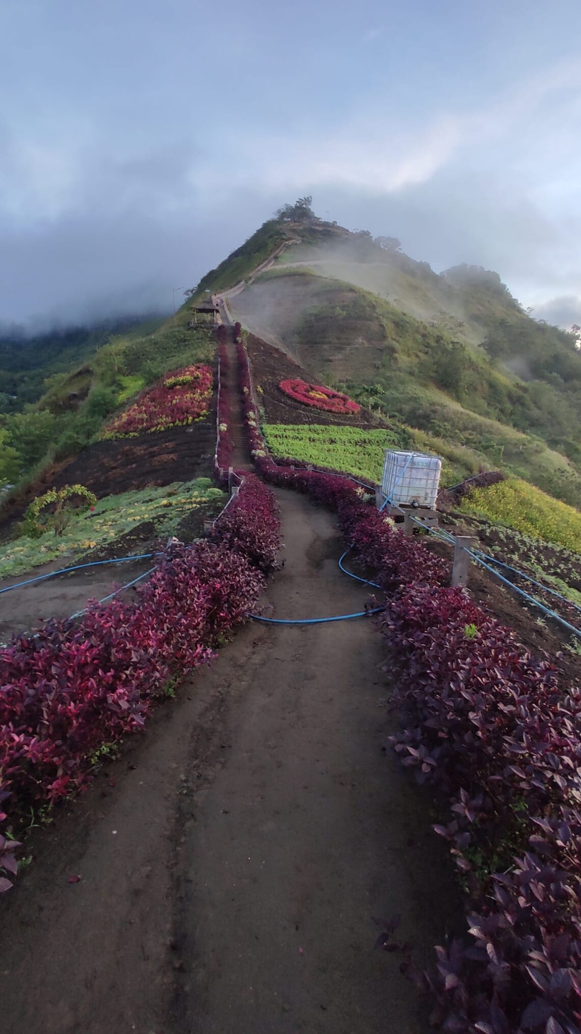 Landingan Viewpoint Travel Guide