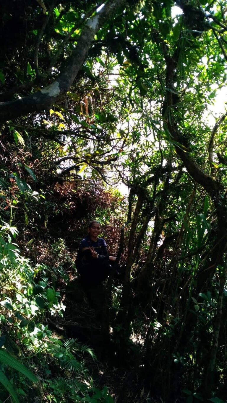 Mt. Makiling Traverse Dayhike Guide