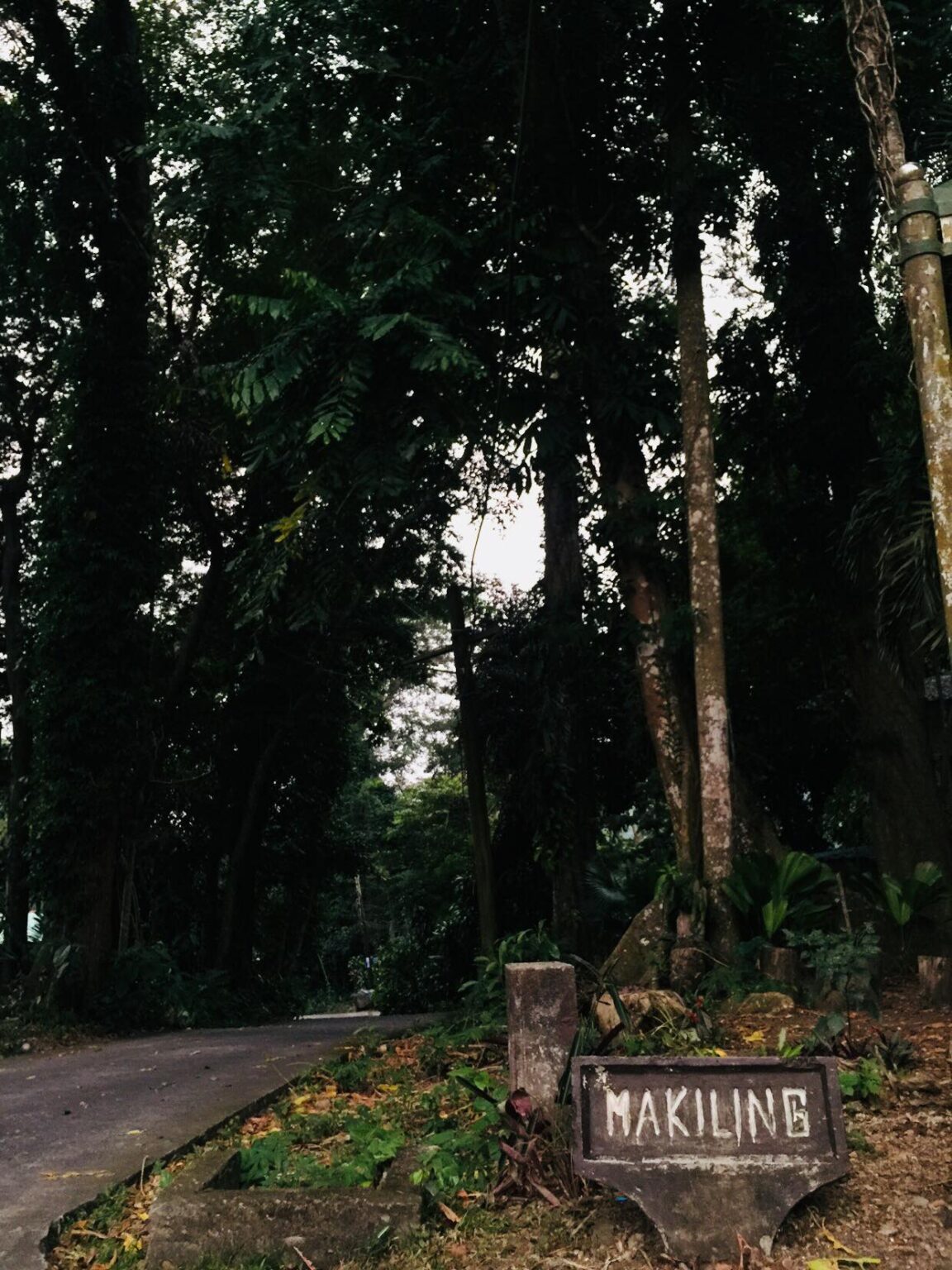 Mt. Makiling Traverse Dayhike Guide