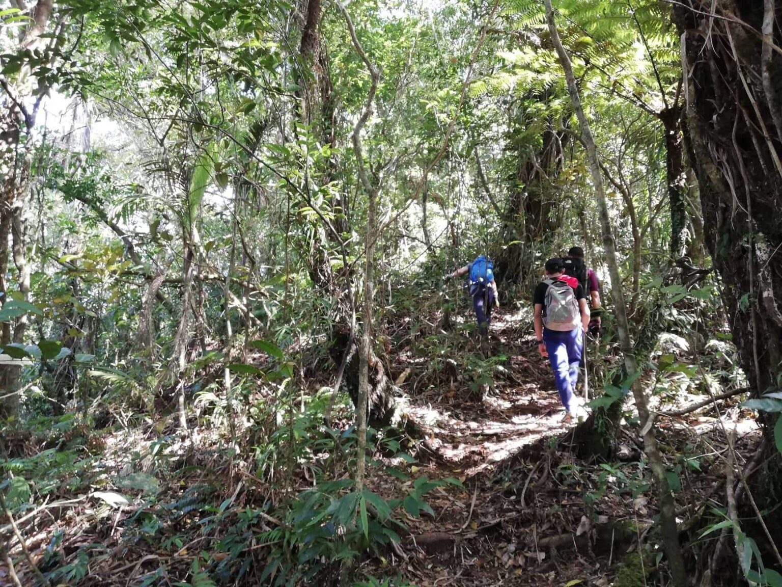 Mt. Makiling Traverse Dayhike Guide