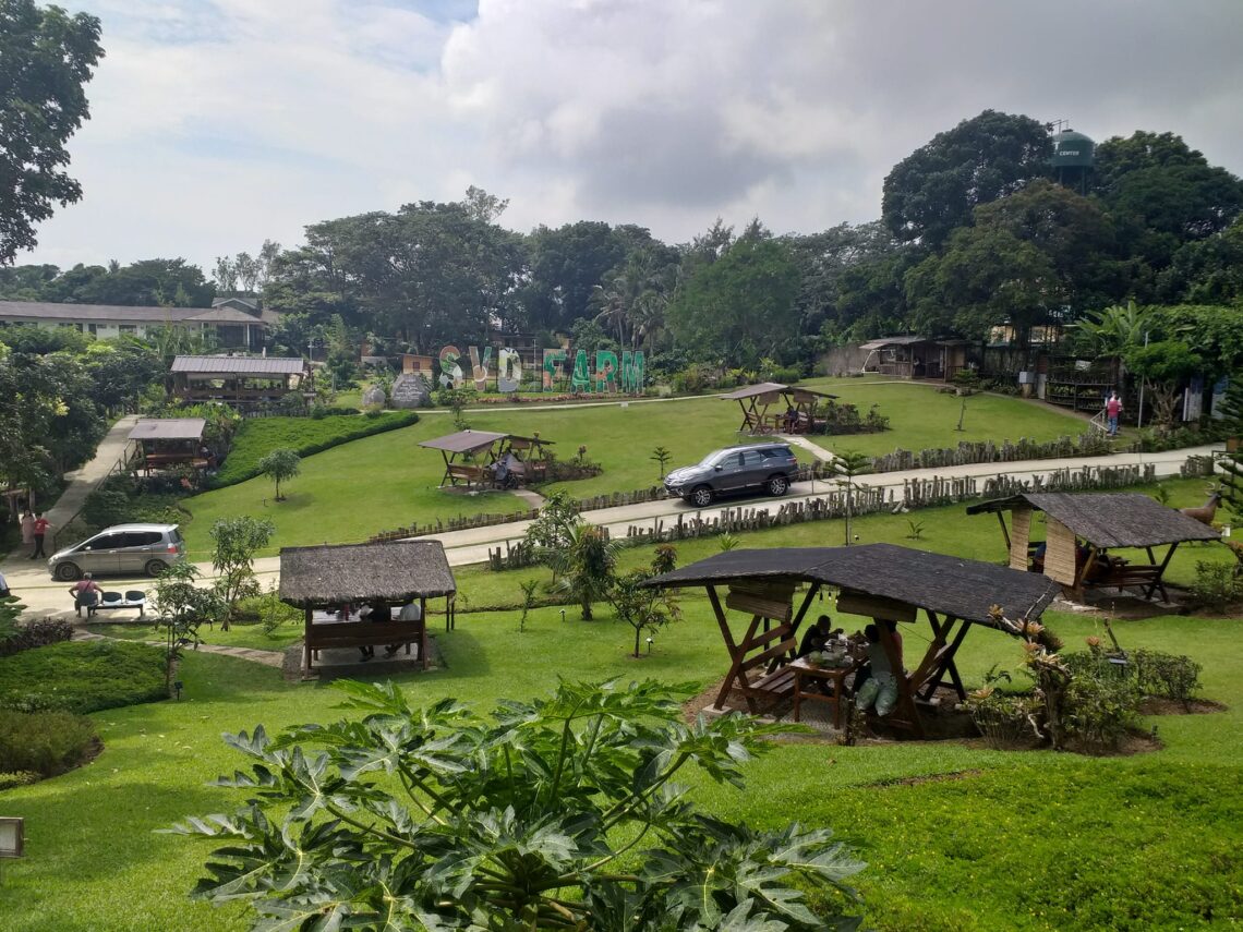 SVD Farm - Hike To Mountains
